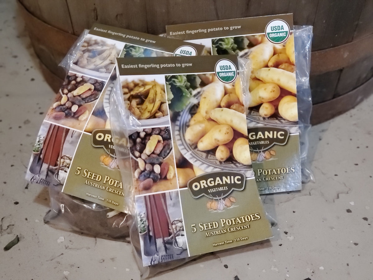 Seed Potato - Austrian Crescent 5/pk – Phantom 2 Go