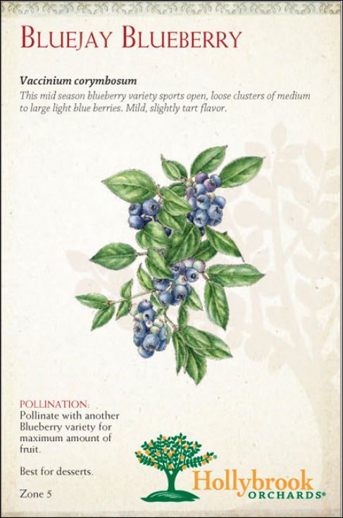 Blueberry, Bluejay 5 gallon – Phantom 2 Go