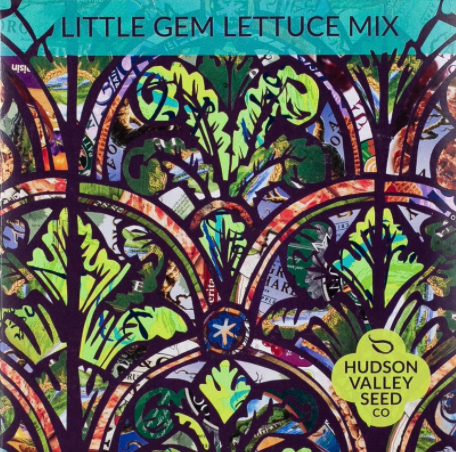 Lettuce, Little Gem Mix – Phantom 2 Go